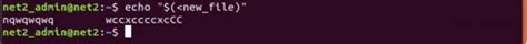 How To Display The Contents Of A Text File On The Terminal In Linuxubuntu