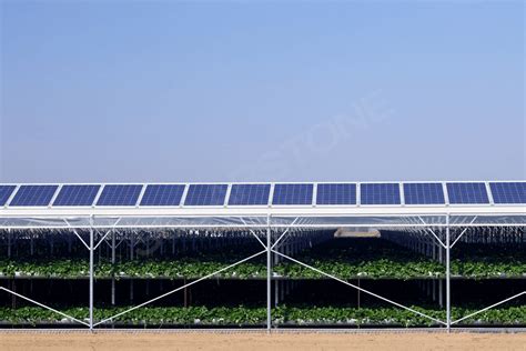 9 Points You Need To Know About Distributed Photovoltaic Power