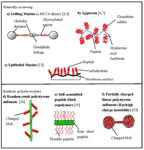 Polymers Free Full Text Biological And Biomimetic Comb Polyelectrolytes