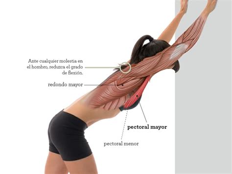 Estiramientos Pectorales