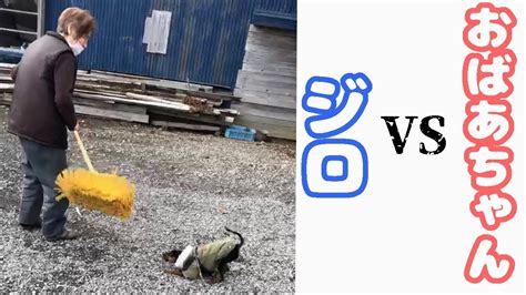 おばあちゃんが操るモップと戦うミニピン ジロ【津軽弁】 Youtube