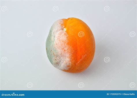 Naranjas Rojas Naranja De Moho Aislado Sobre Fondo Blanco En Una Toma