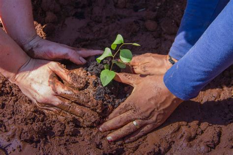 People Planting Plants