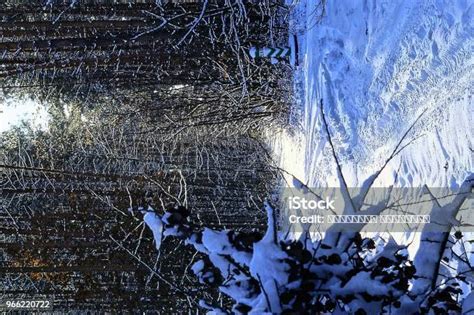 나무와 숲의 경로 따라 겨울 숲에서 숲 0명에 대한 스톡 사진 및 기타 이미지 0명 겨울 공란 Istock