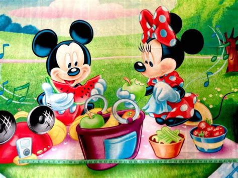 Muni y MIcky de campo rompecabezas en línea