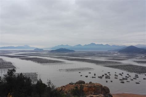 125万霞浦县幅海洋区域地质调查2015年度外业工作圆满完成中国地质调查局