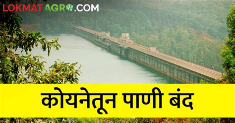 कोयनेतून विसर्ग बंद कृष्णाकाठी संकट Water Discharge From Koyna Dam