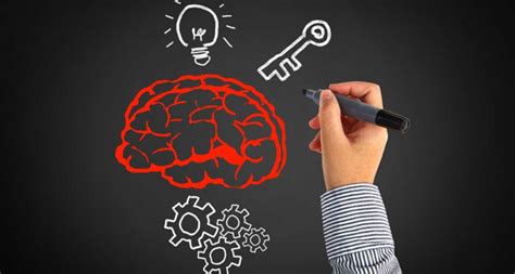 Software Tester Background Vs Knowledge Qatestlab Blog