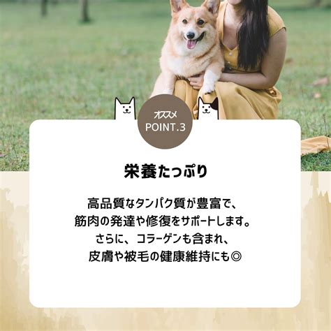【楽天市場】【2点p5倍・3点～p10倍★要エントリー】 犬 おやつ 無添加 国産 Fuku（福）牛アキレス 50g 犬オヤツ 犬用