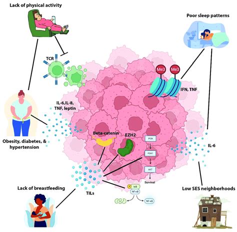 Potential Influence Of Non Genetic Risk Factors On Aggressive Qnbc