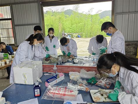湘乡市：打造乡村人才“蓄水池” 全面助力乡村振兴湘乡市湖南频道红网
