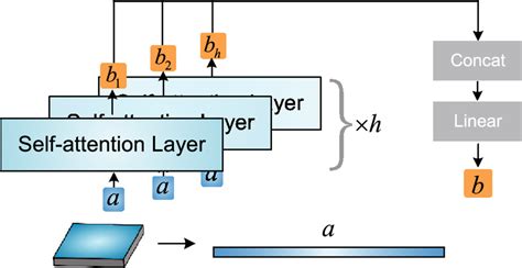 Multi Headed Self Attention Structure Download Scientific Diagram