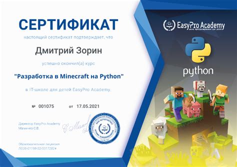 Разработка в Minecraft на Python для детей Онлайн курс Easypro Academy