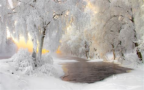 Finland Winter Forest Snow River 2018 Bing Preview