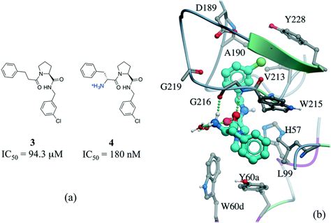 Hydrogen Bonding In Proteins