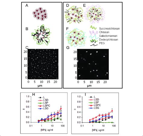 Characterization Of Nanoparticles Schematic Structure Of Small