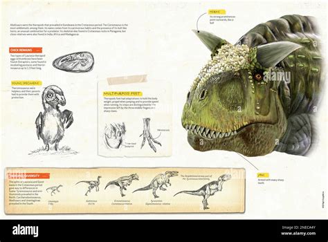Infographics About Carnivorous Dinosaurs That Inhabited The Earth In