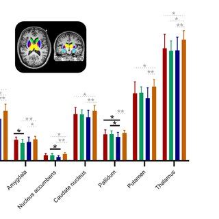 Gray Matter Volumes Of Subcortical Structures Across Diagnostic Groups