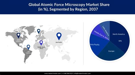 Atomic Force Microscopy Market Size Exceeded 563 28 Million In 2024