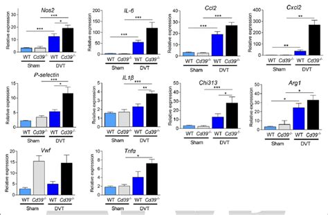 Validation Of Microarray Results Reveals Quantitative Real Time Download Scientific Diagram