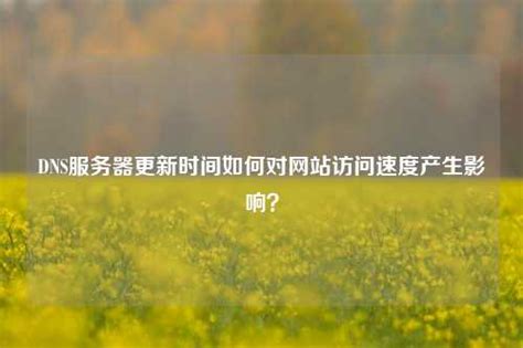 用Windows查看NTP服务器状态一键查询时钟同步情况 北斗时源NTP服务器