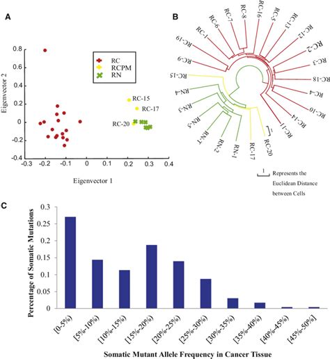Somatic Mutation And Single Cell Population Analysis In This Ccrcc