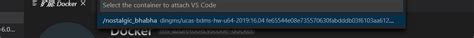 Vscode远程连接docker容器attach To Vscode Csdn博客