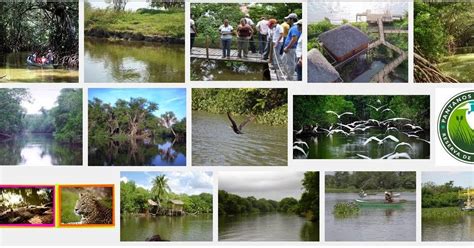 Ecoturismo México Pantanos de Centla Reserva de la Biósfera Tabasco