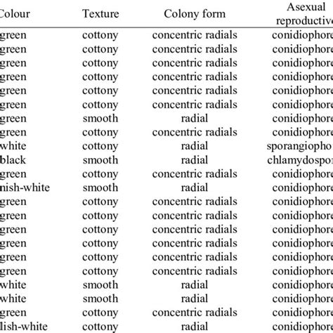Morphological Characteristics Of Isolated Fungi From Peatlands