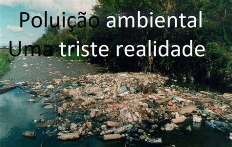 Poluição Ambiental Uma Triste Realidade Revista Gestão Universitária