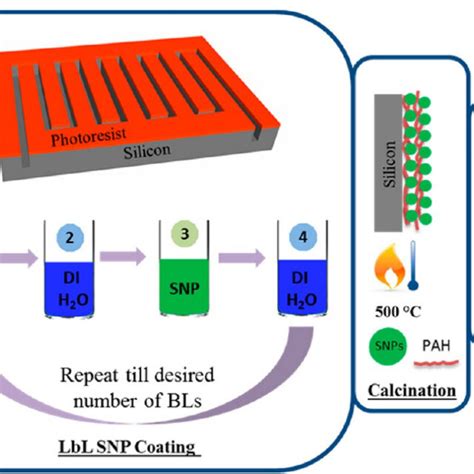 Schematic Process Flow Of Snps Coating Using Layer By Layer