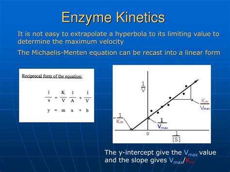 Enzyme Kinetics Regression At Frederick Saechao Blog
