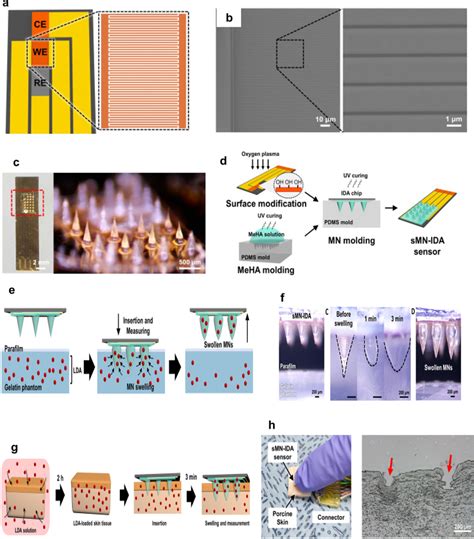 Ida Chip A Ida Chips With Working Counter And Reference Electrode B