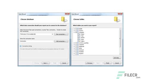 Fastreportnet 2020117 Free Download Filecr