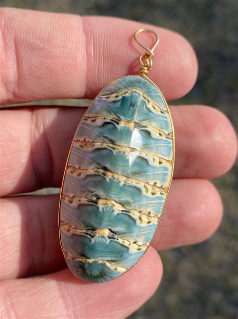 Large Chiton Mollusca Shell Necklace Etsy