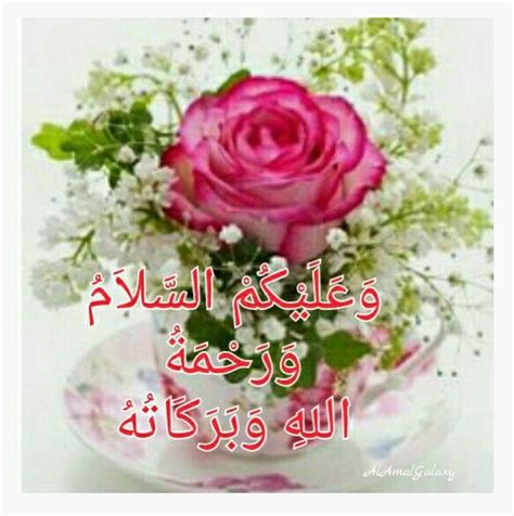 Walaikum Assalam Wa Rahmatullahi Wa Barakatuh In Arabic