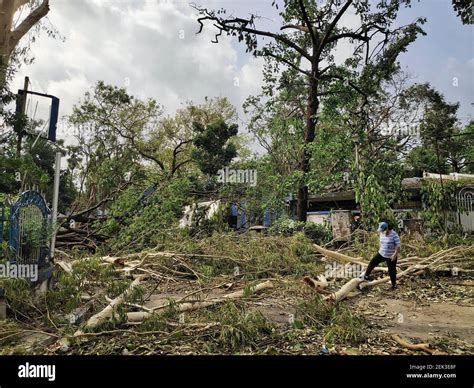 Cyclone Amphan Has Made Kolkata Into A Jungle Every Trees Are Fallen