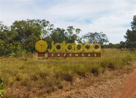 FAZENDA NO TOCANTINS Jalapão Fazendas