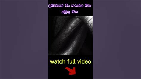 😳😱දකින්නත් පිං කරන්න ඕන අමුතු හීන 😱 Trending Shorts Short Shortvideo