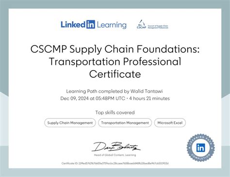 Certificate Of Completion Walid Tantawi