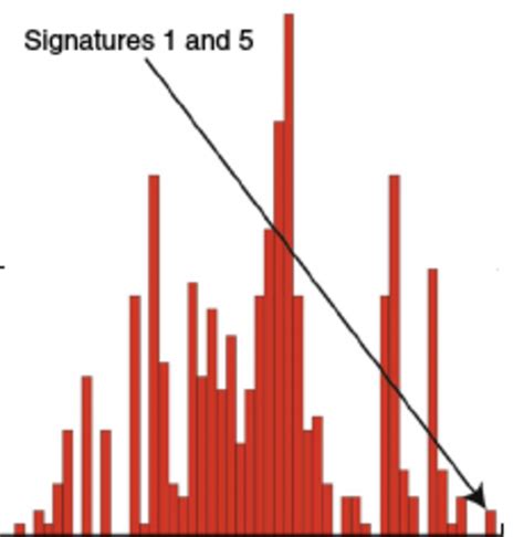 Mutation Rate Model During Gametogenesis Comparison Of Mutation
