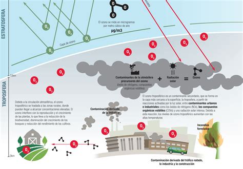 Infografía Los Daños De La Contaminación Del Aire En Ourense