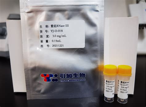 重组 T7 Rna 聚合酶rna药物和疫苗应用产品中心引加上海生物医药科技有限公司