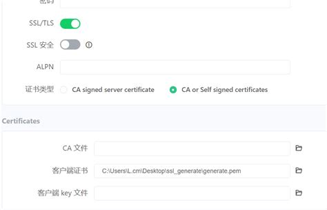 常见问题汇总 Mica Mqtt