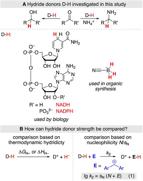Nadph Mechanism