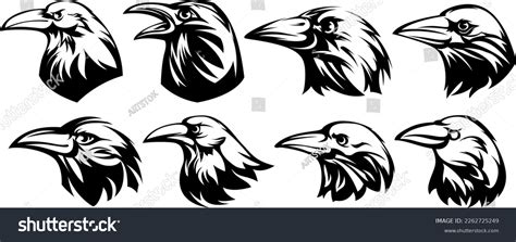 Raven Bird Face