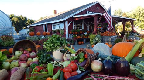 It S A Great Time To Support Your Local Farm Here S How