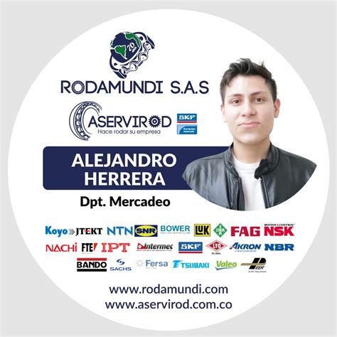 Asesor Alejandro Herrera Rodamundi S A S