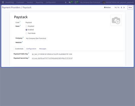 Odoo Website Paystack Payment Acquirer WebKul