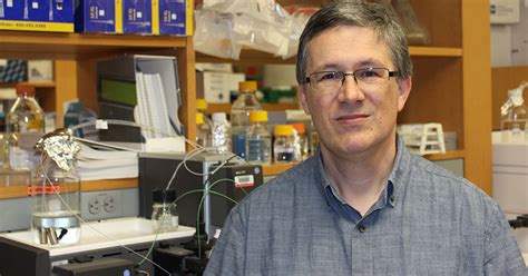 Sahin Toth Laboratory Hirshberg Foundation For Pancreatic Cancer Research